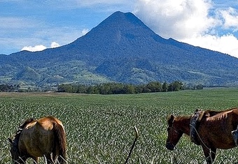 Mount Matutum, South Cotabato - Everyday Coffee Roasters